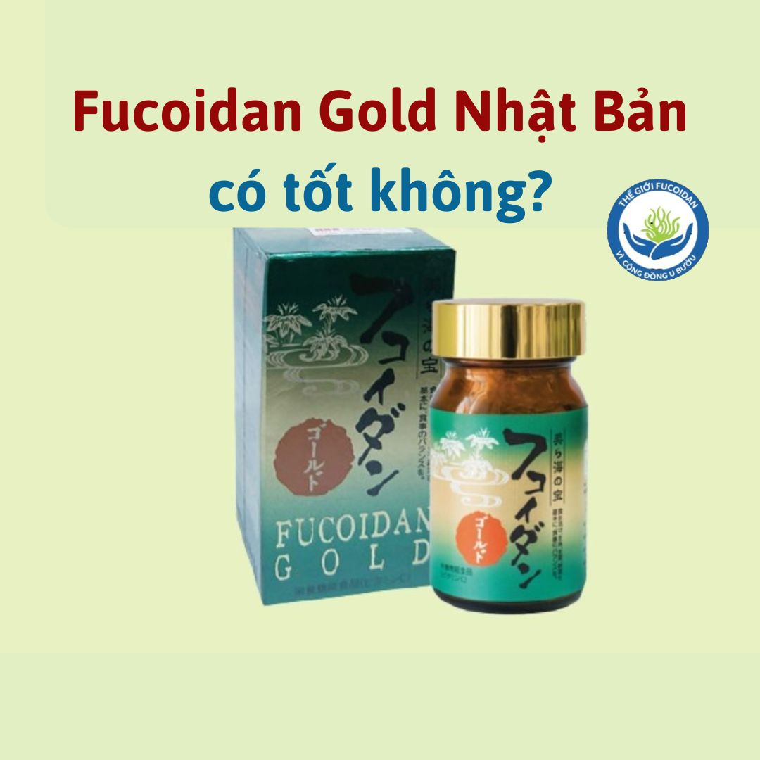 Fucoidan Gold chứa vitamin C có tốt hay không?