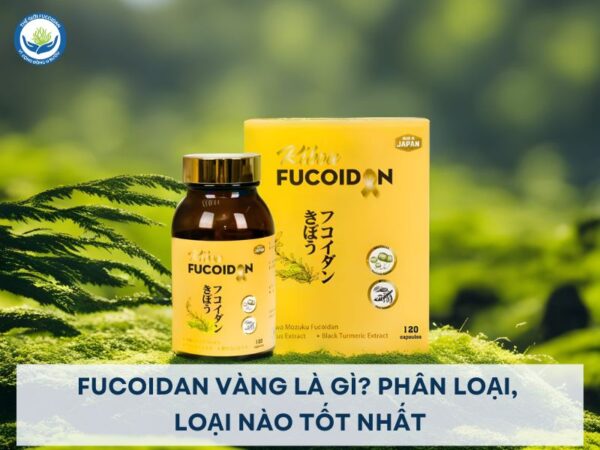 Fucoidan vàng là gì? Phân loại, Loại nào tốt nhất